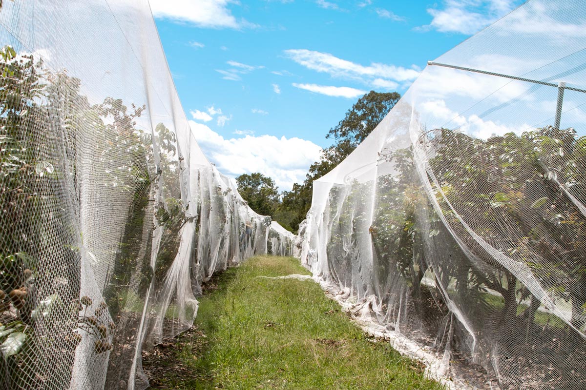 Bird Netting – Haverford NZ