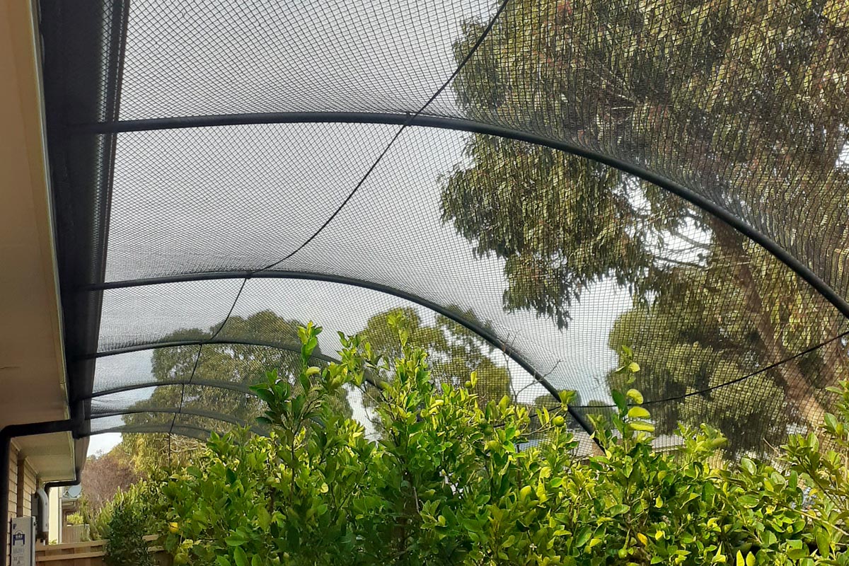 Residential Bird Netting – Haverford NZ