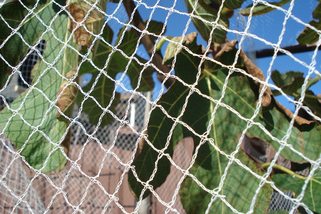 Diamond Mesh Bird Netting – Haverford NZ